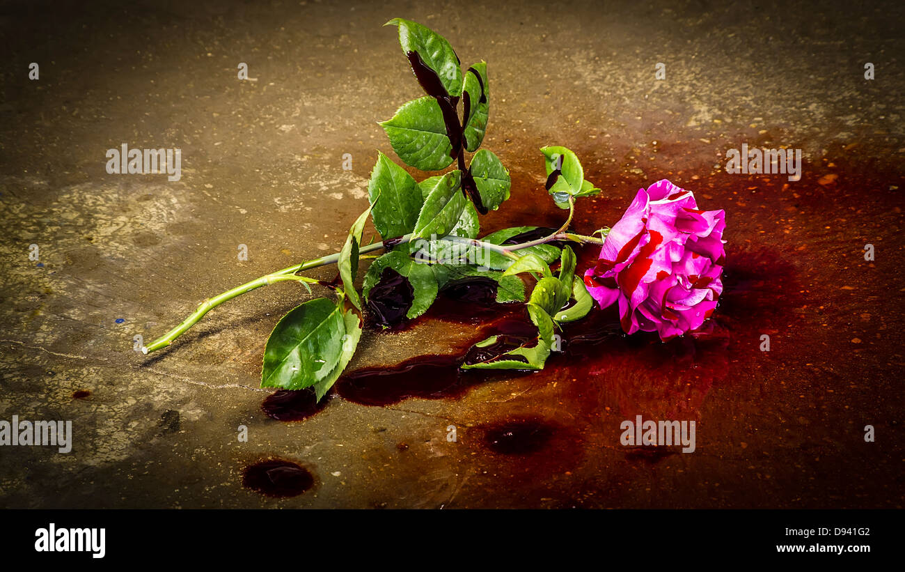Blut rose -Fotos und -Bildmaterial in hoher Auflösung – Alamy