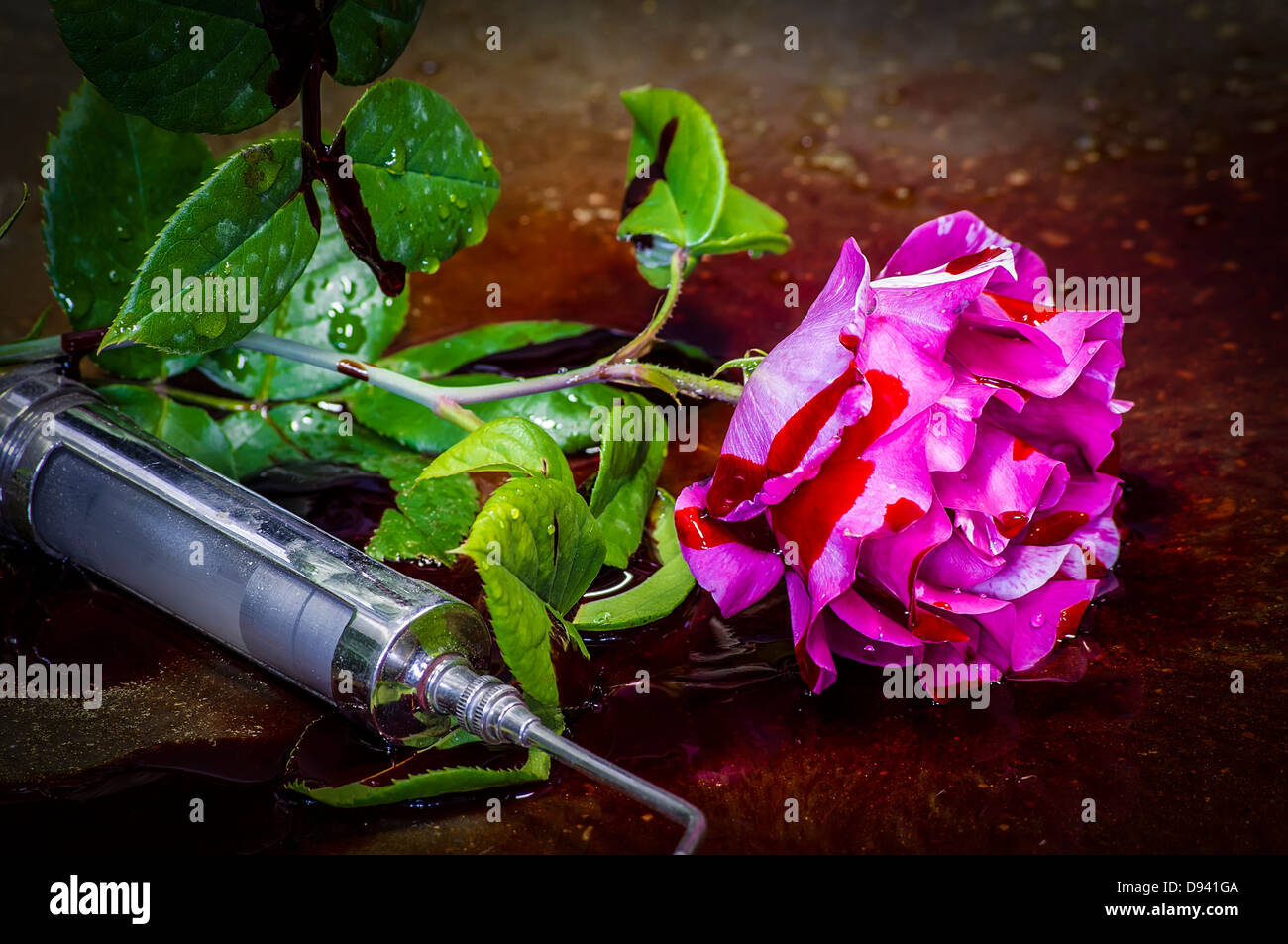 Blut rose -Fotos und -Bildmaterial in hoher Auflösung – Alamy