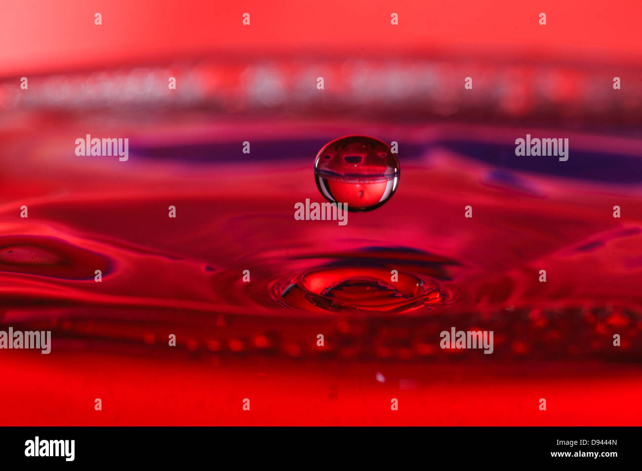 Wasser tropfen -Fotos und -Bildmaterial in hoher Auflösung – Alamy