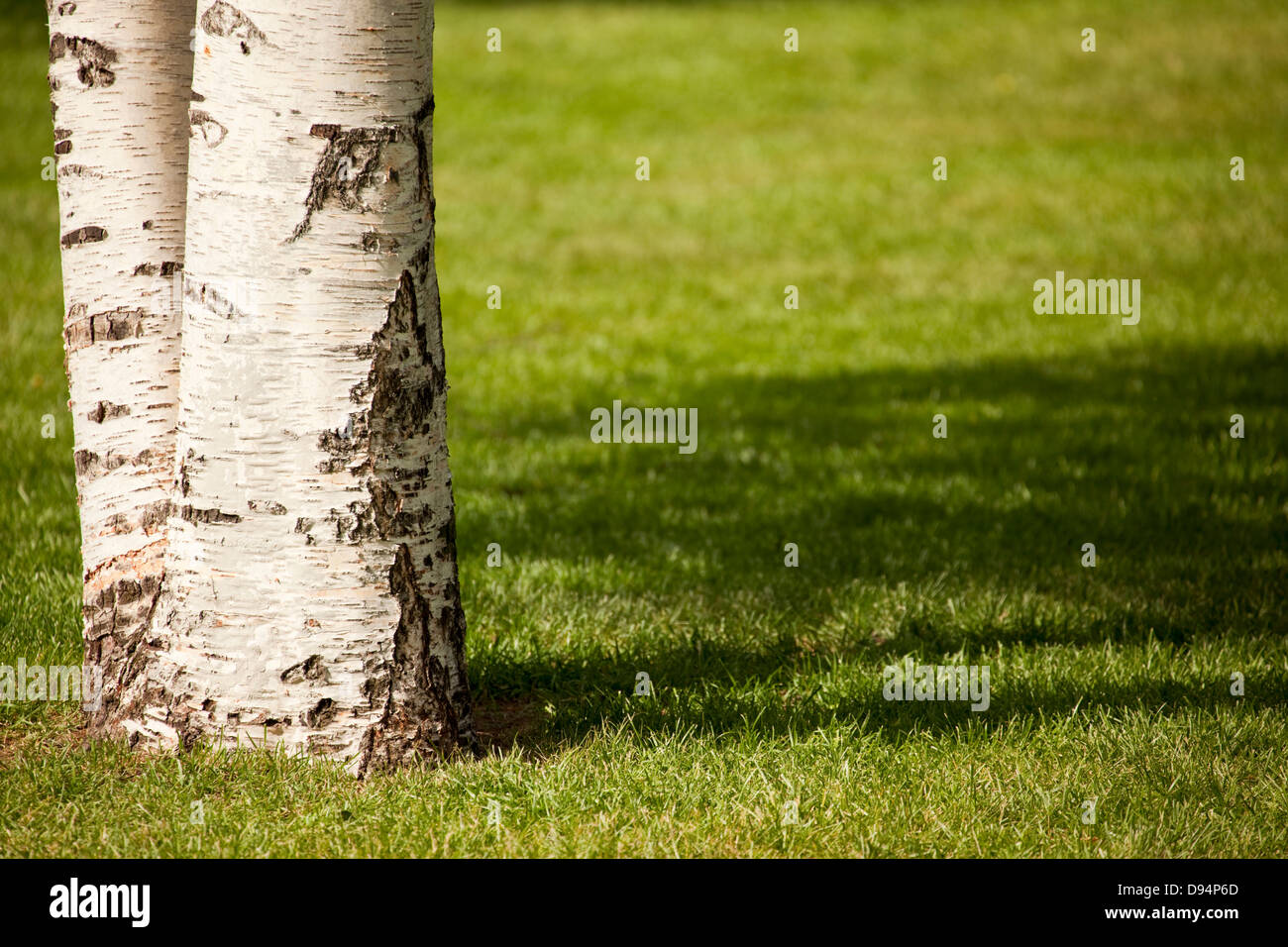 Alexander garten moskau -Fotos und -Bildmaterial in hoher Auflösung – Alamy