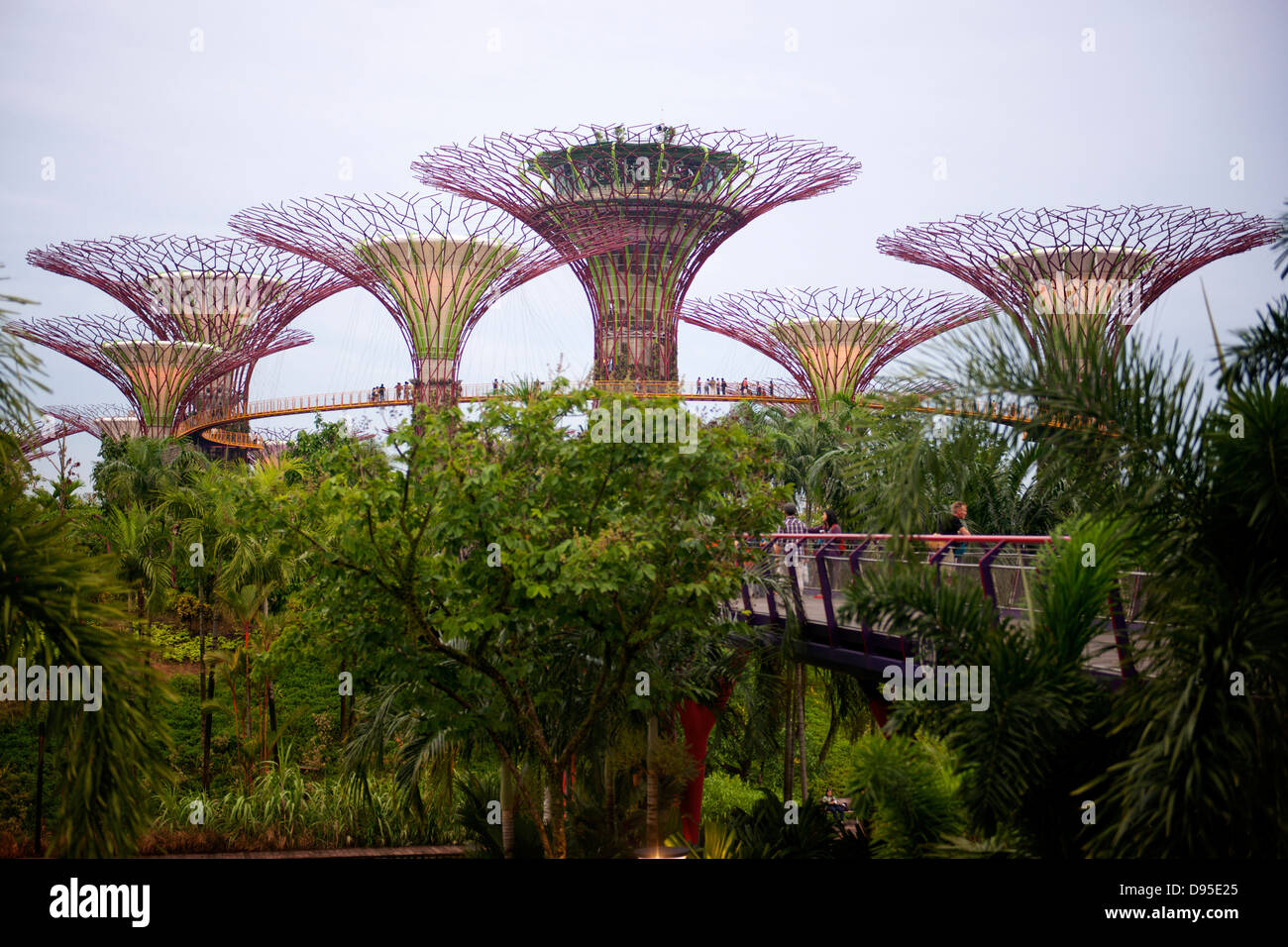Supertrees at gardens by the bay -Fotos und -Bildmaterial in hoher ...