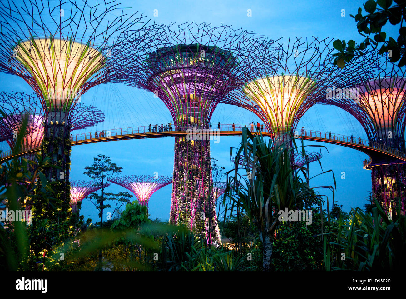 Supertrees at gardens by the bay -Fotos und -Bildmaterial in hoher ...