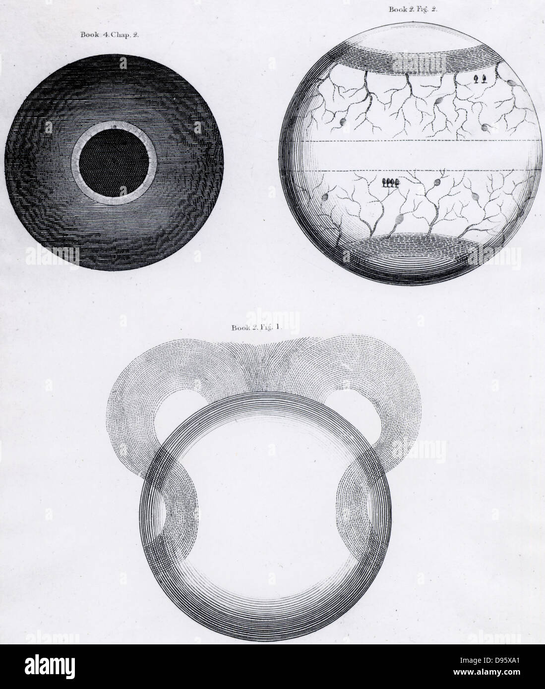 Ideen der verschiedenen Phasen in der Entstehung der Erde. Gravur aus ...