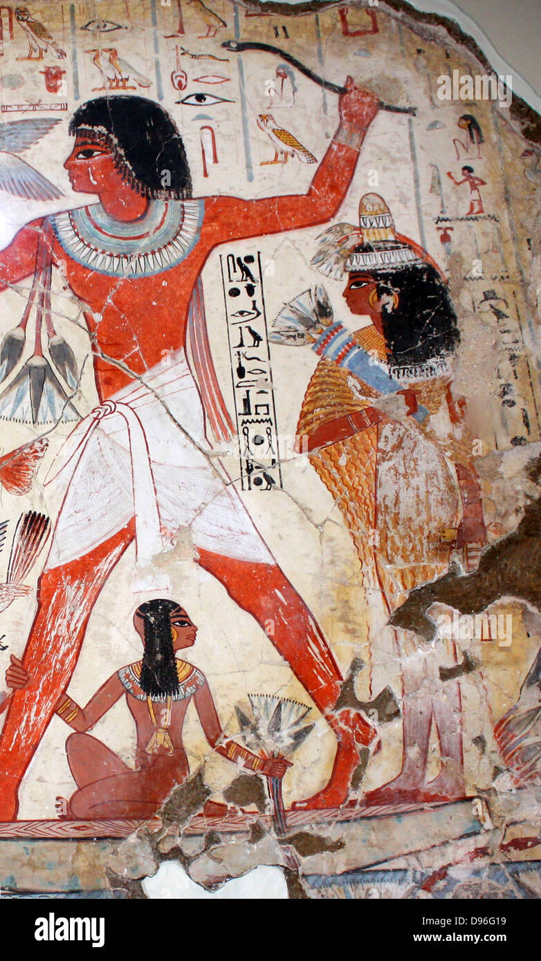 Nebamun jagd in den sümpfen -Fotos und -Bildmaterial in hoher Auflösung ...