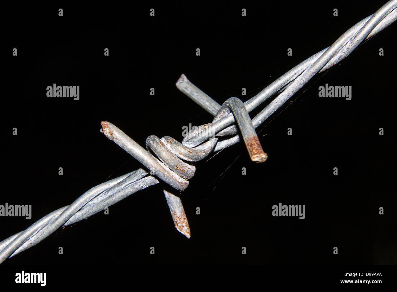 Stacheldraht fotos -Fotos und -Bildmaterial in hoher Auflösung – Alamy