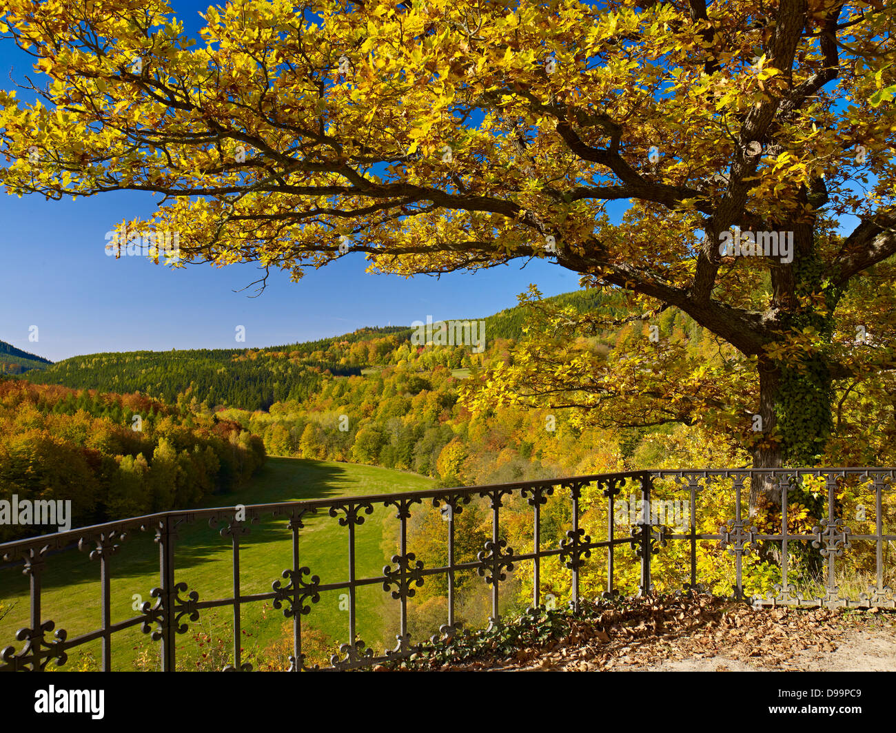 Schwarzatal tal -Fotos und -Bildmaterial in hoher Auflösung – Alamy