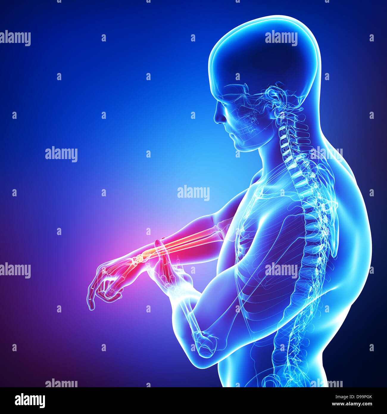 Anatomie der menschlichen Hand in blau Stockfotografie - Alamy