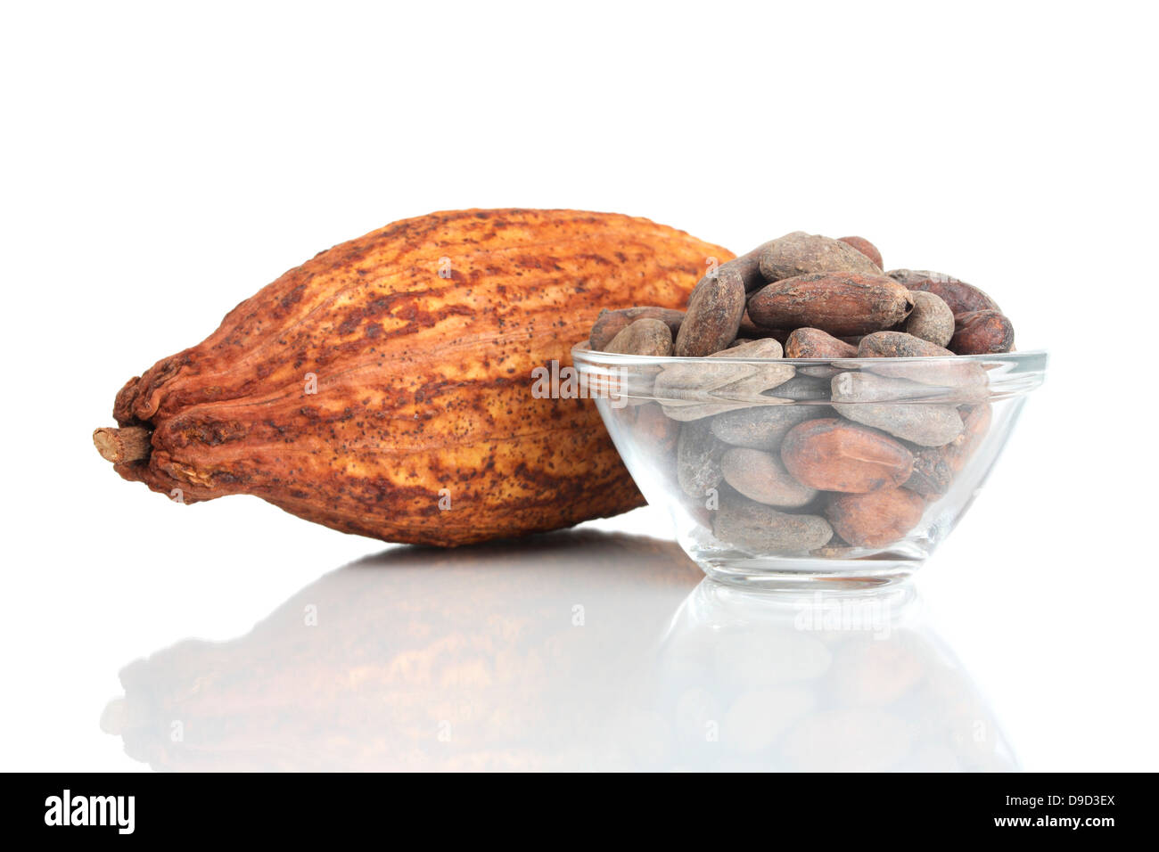 Kakaofrucht mit Kakaobohnen Stockfotografie - Alamy