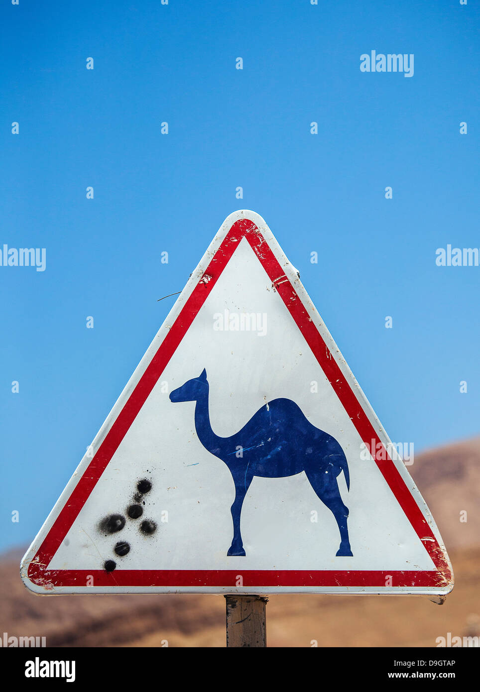 Road sign warning camels crossing -Fotos und -Bildmaterial in hoher ...