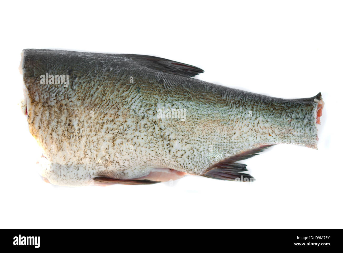 Rohe fische -Fotos und -Bildmaterial in hoher Auflösung – Alamy