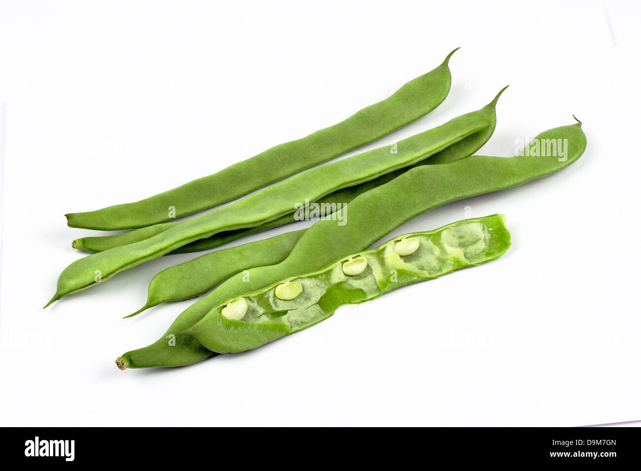 Gemeine bohne -Fotos und -Bildmaterial in hoher Auflösung – Alamy