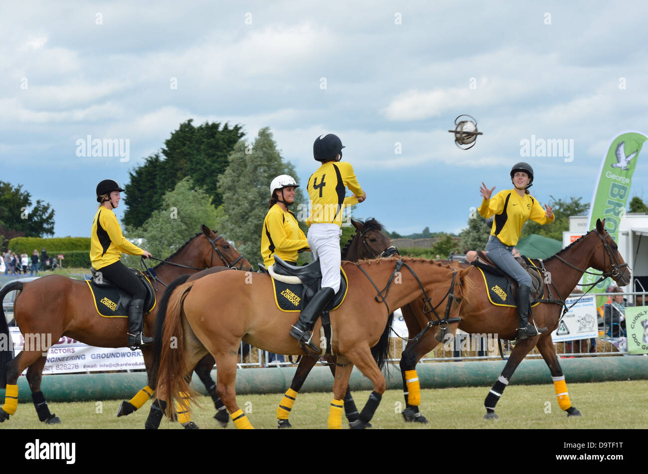 Pferd ball -Fotos und -Bildmaterial in hoher Auflösung – Alamy