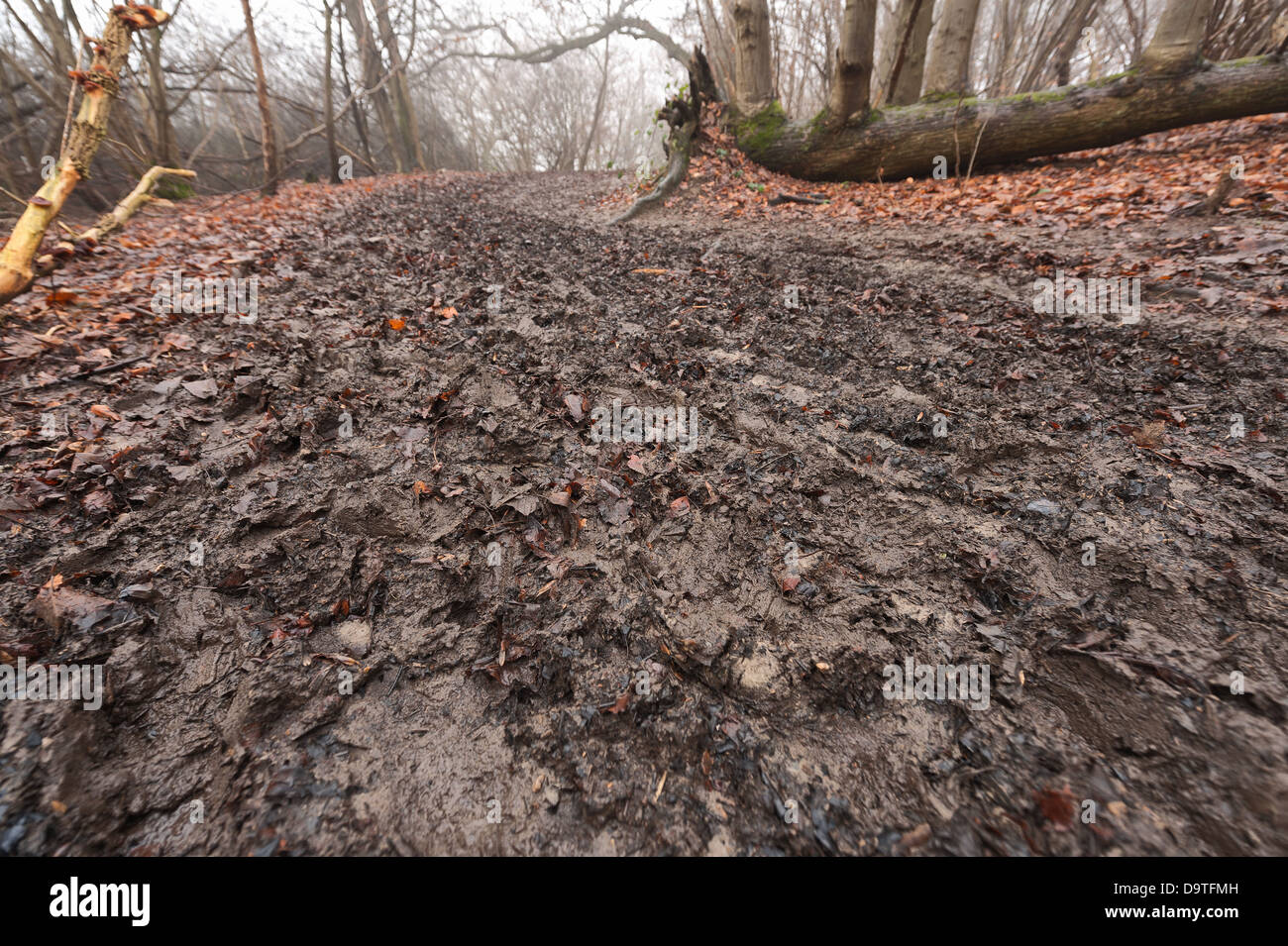 Ukelei schlammigen squelchy Schlamm aufgewühlt auf Wanderweg zu Fuß im ...