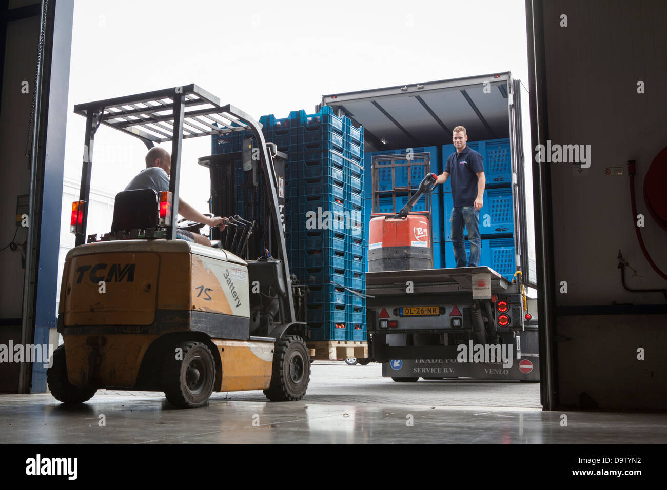 DAF-LKW in den Niederlanden mit Gemüse mit einem Gabelstapler und der ...