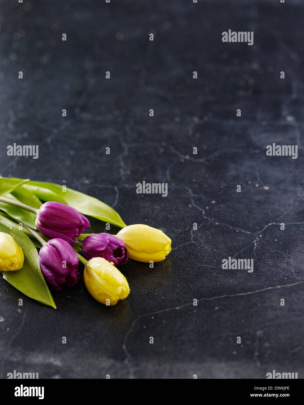 Ostern grab -Fotos und -Bildmaterial in hoher Auflösung – Alamy