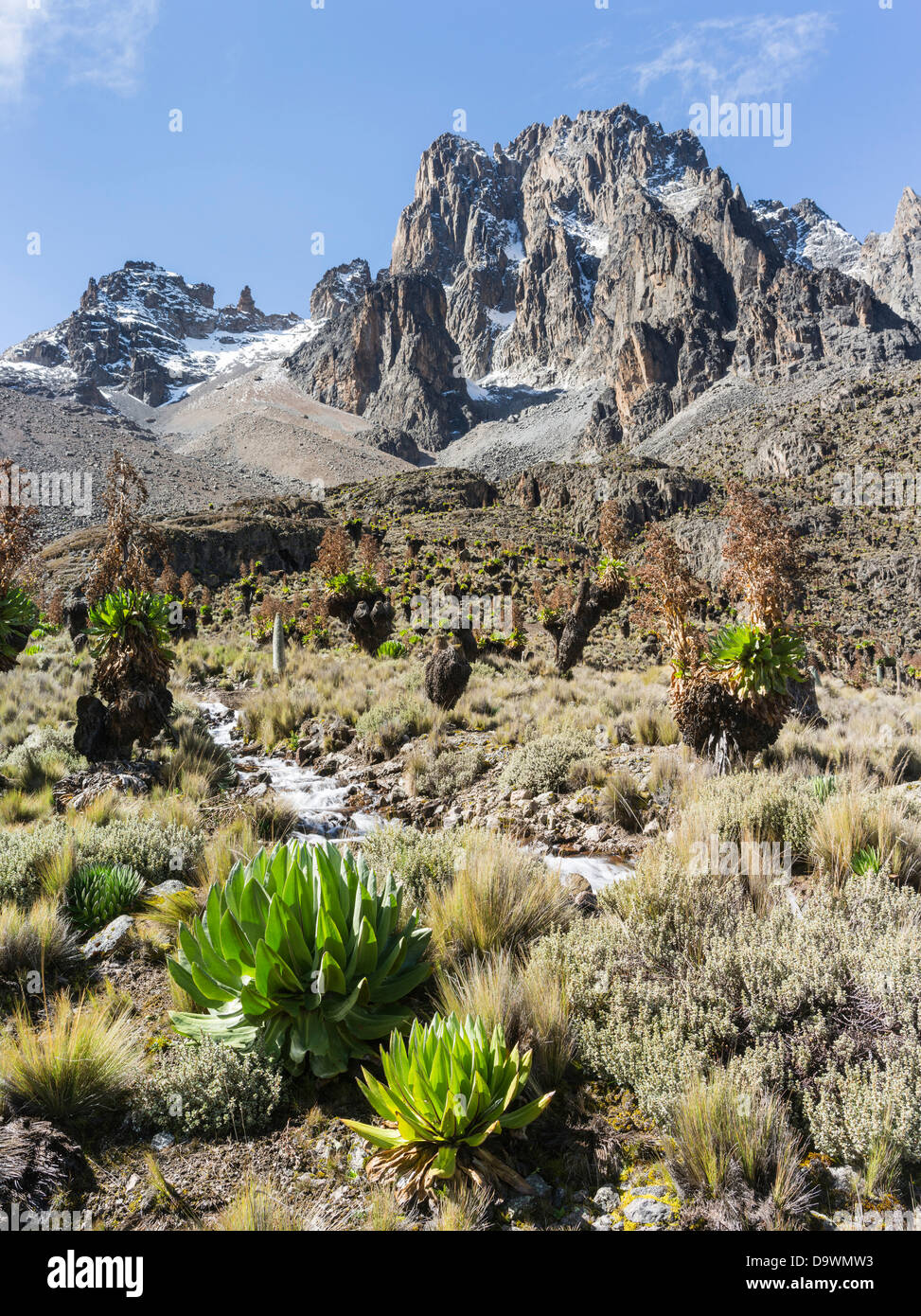 Mount kenya batian -Fotos und -Bildmaterial in hoher Auflösung – Alamy