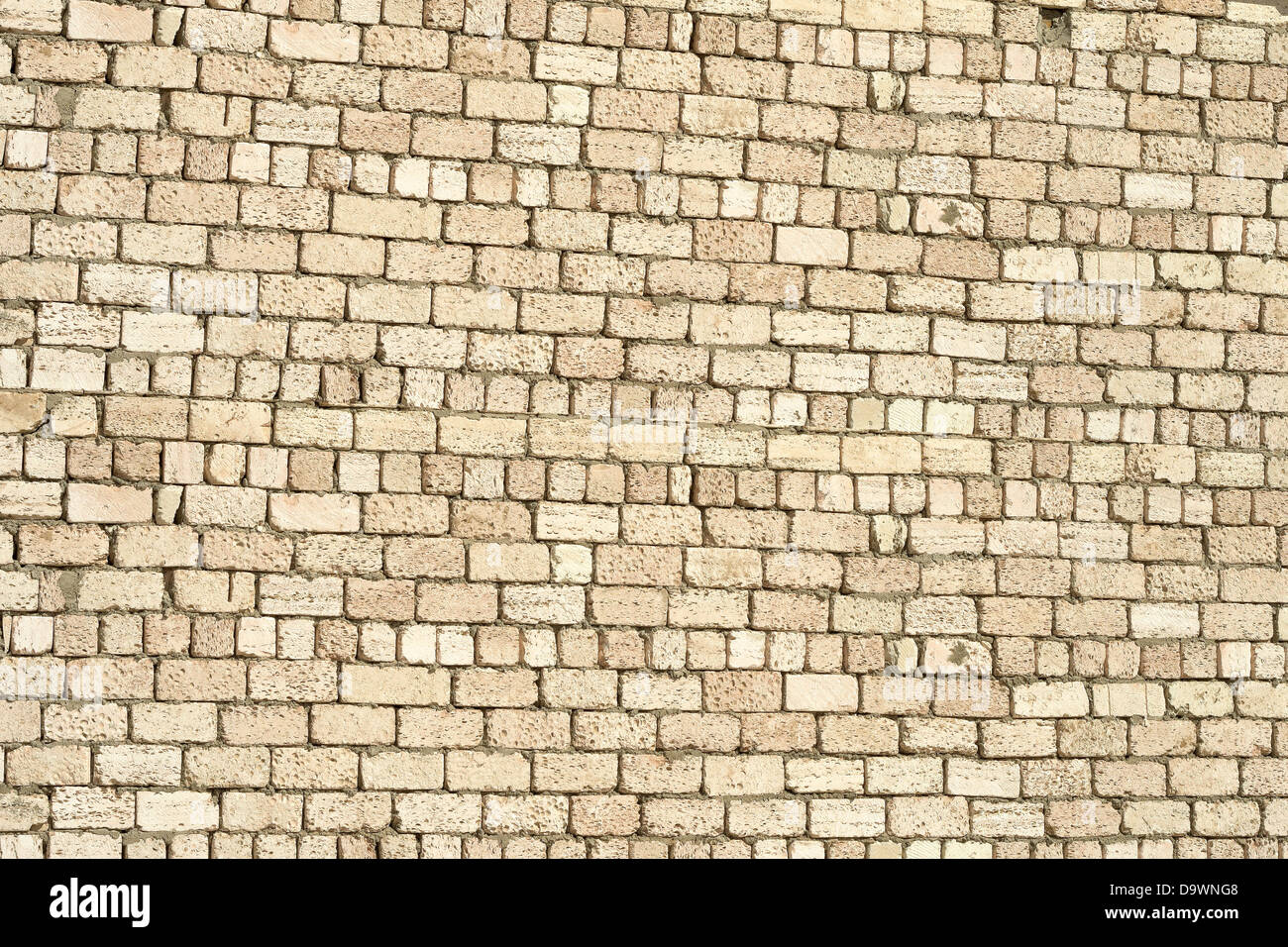 Ziegel, Zaun, Fossilien, Schichten, Wand, Mineral, Shell, Steinen ...