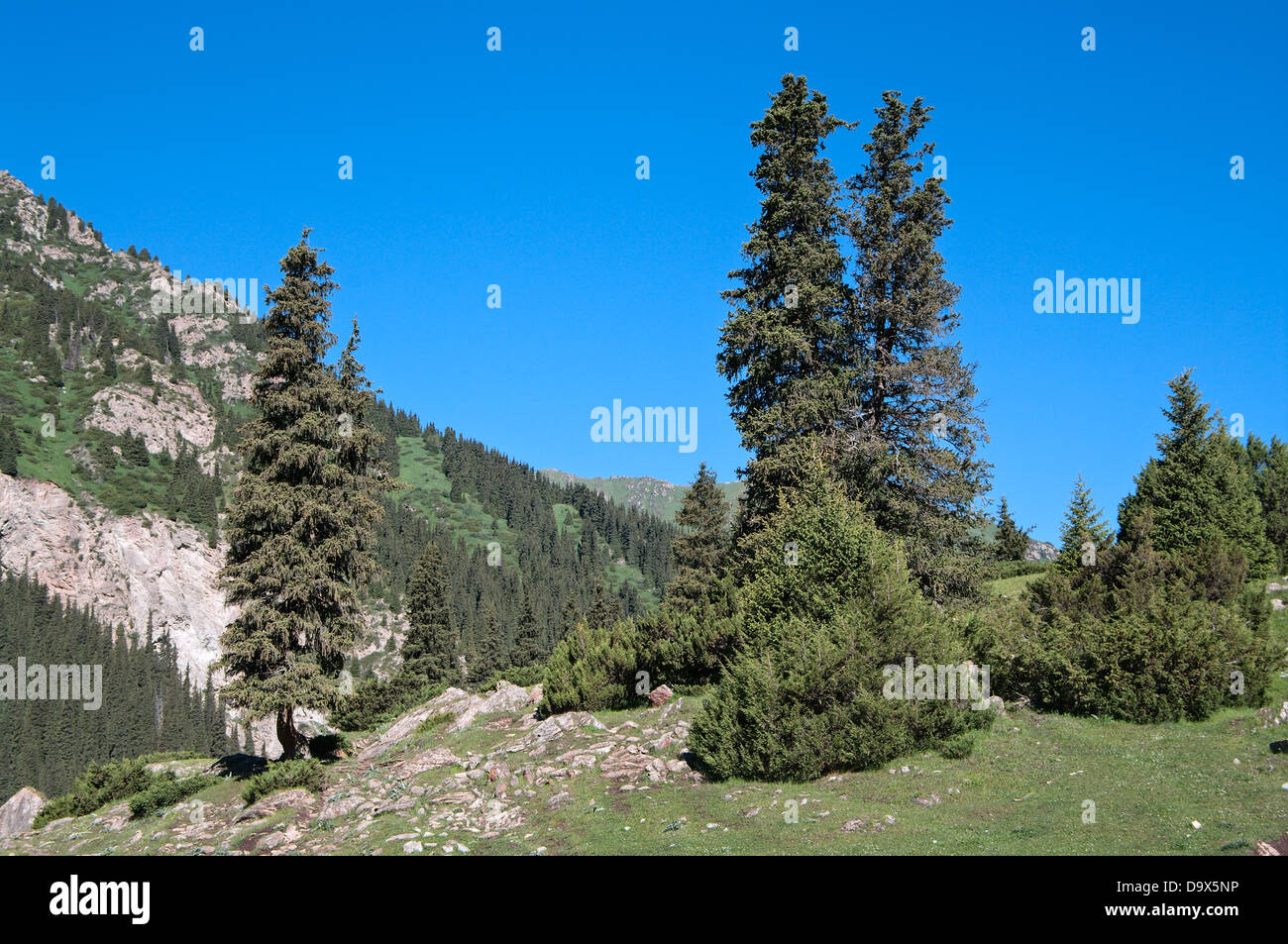 Bergtal Aksay, Kirgisistan Stockfotografie - Alamy
