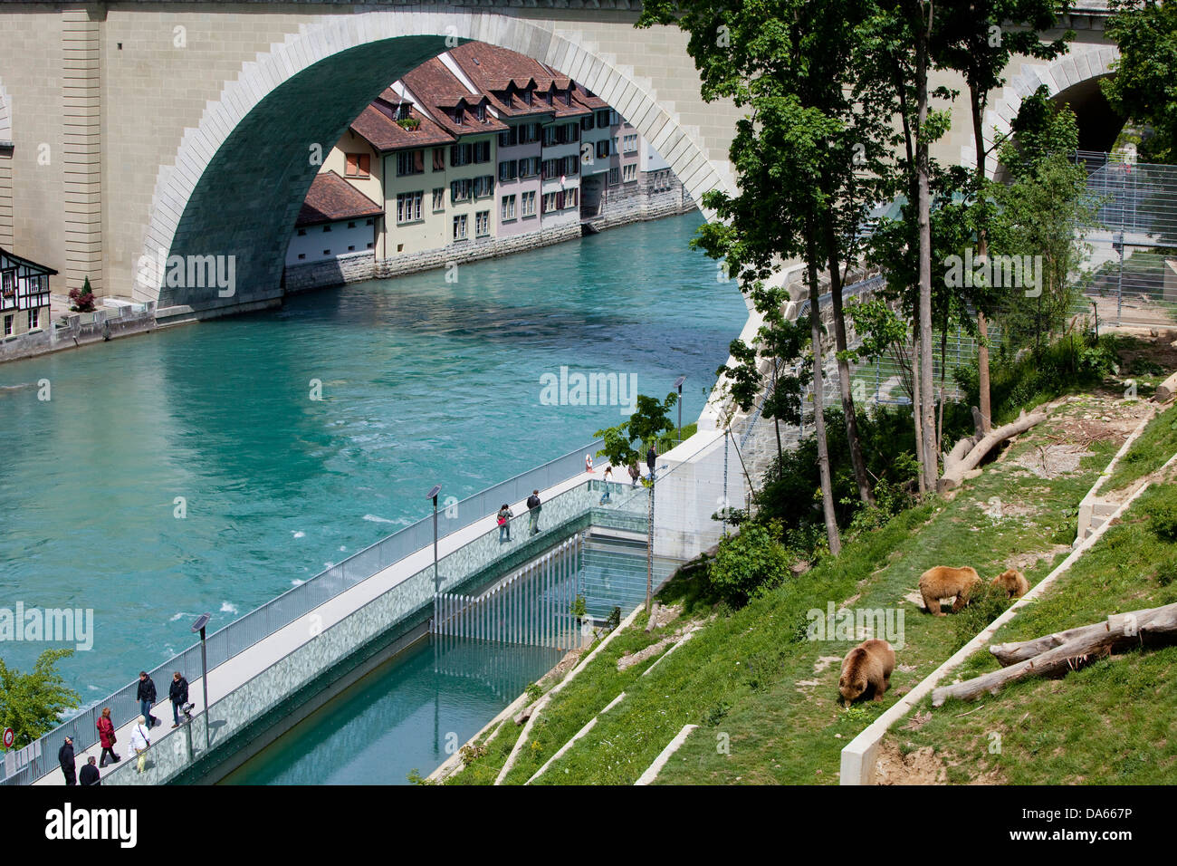 Bärenpark bern -Fotos und -Bildmaterial in hoher Auflösung – Alamy