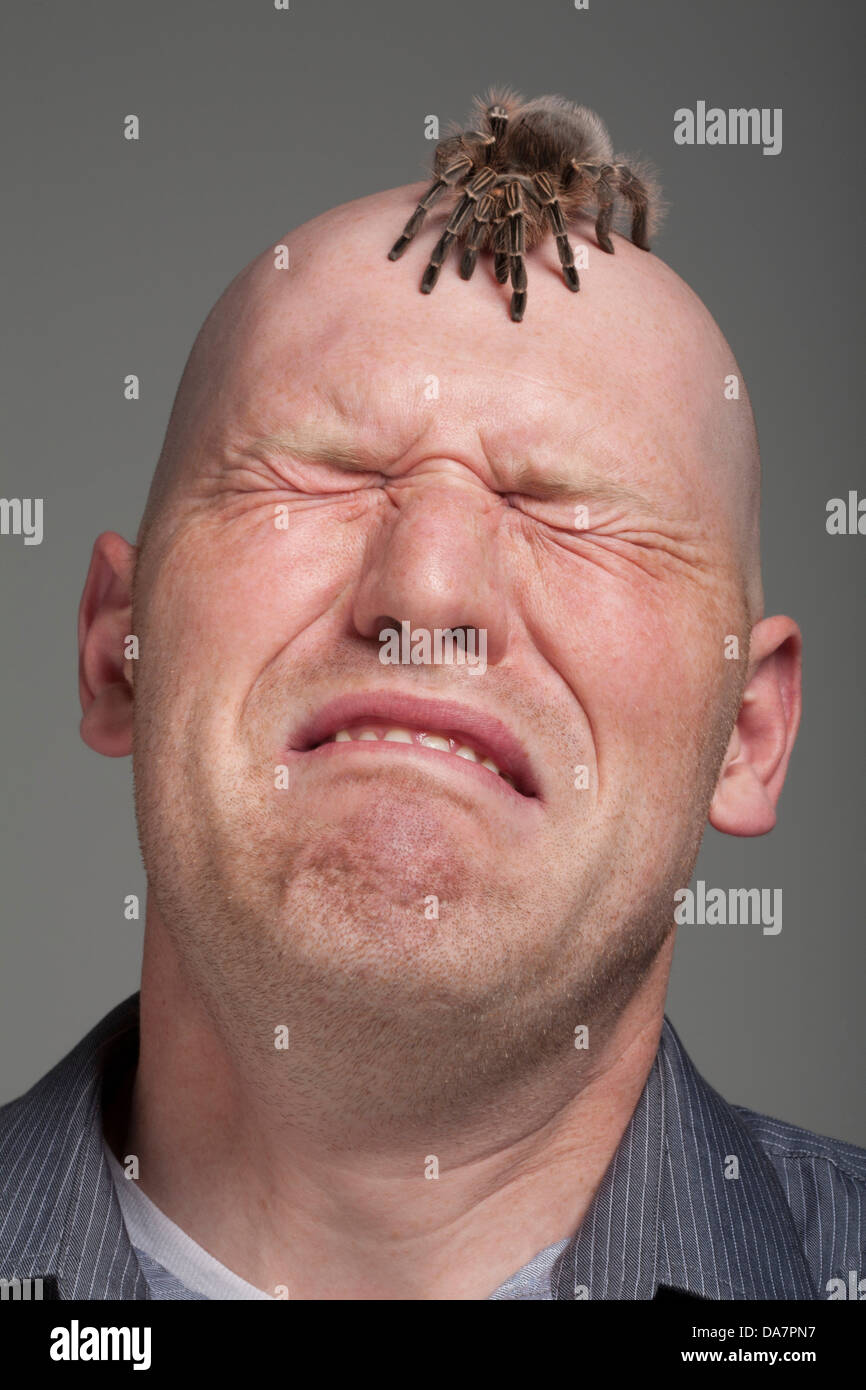 Solo single eine person -Fotos und -Bildmaterial in hoher Auflösung – Alamy