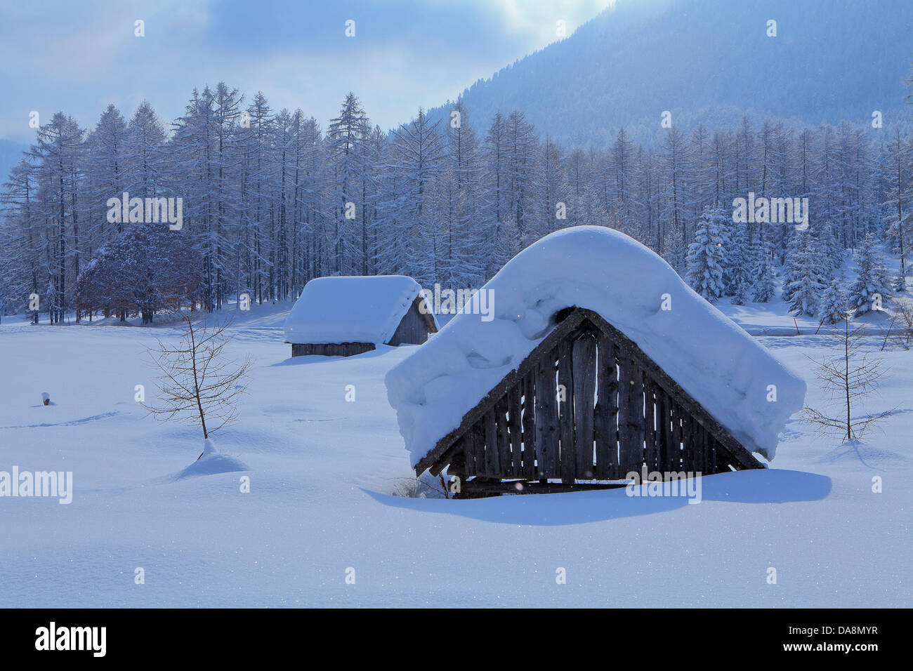 Obsteig tirol -Fotos und -Bildmaterial in hoher Auflösung – Alamy