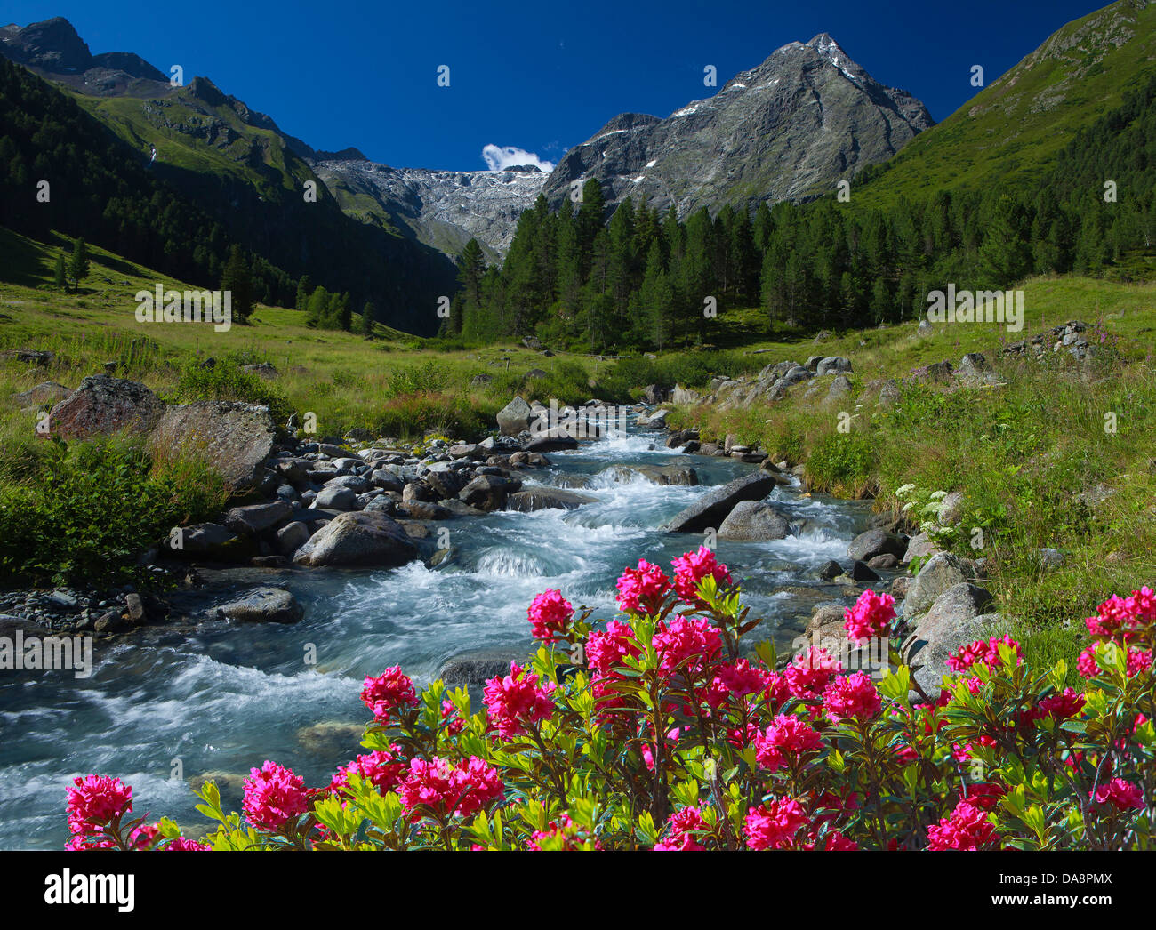 Österreich, Europa, Tirol, Sellrain, Lüsens, Alp, Bach, Wasser, Melach ...