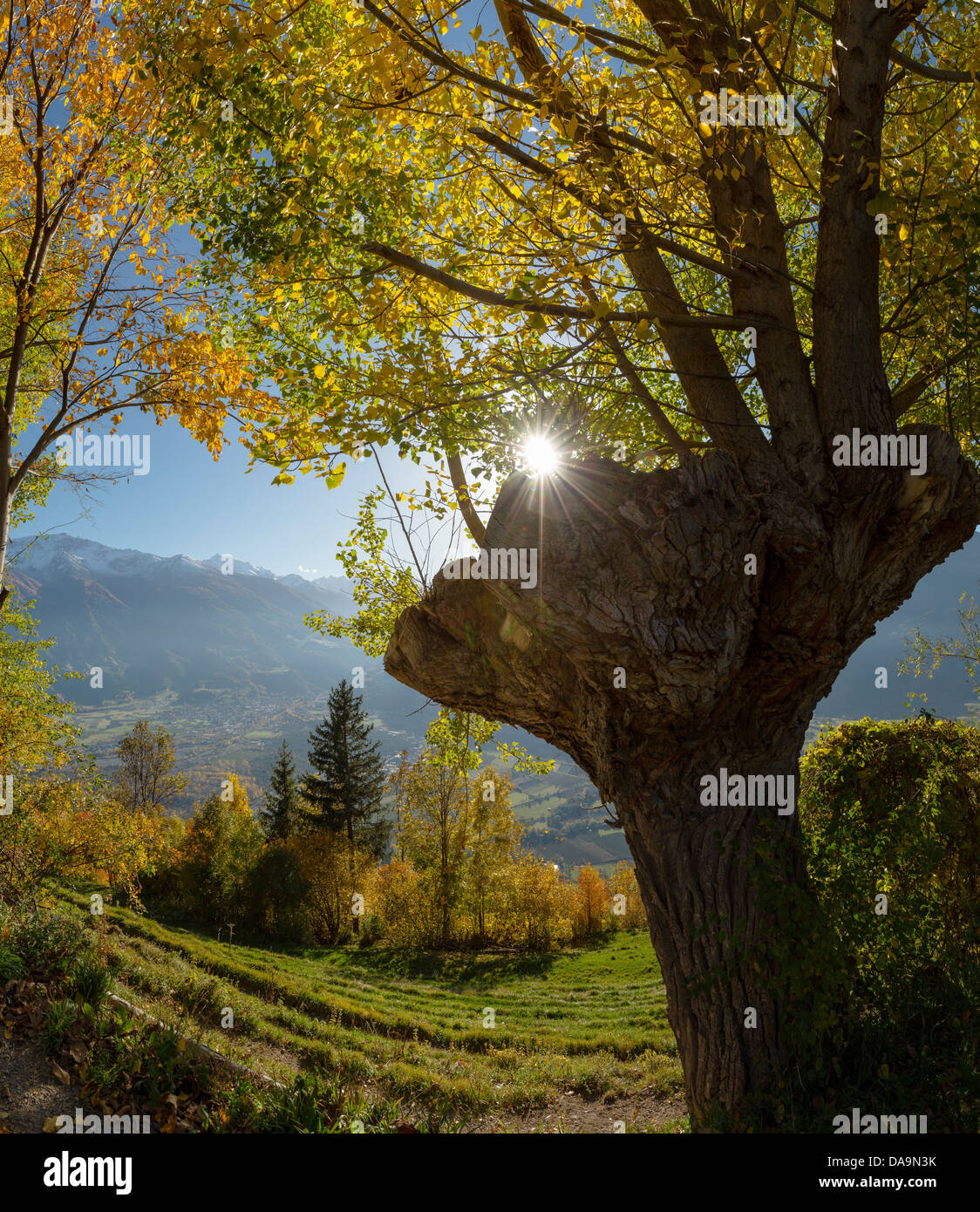 Vinschgau herbst -Fotos und -Bildmaterial in hoher Auflösung – Alamy