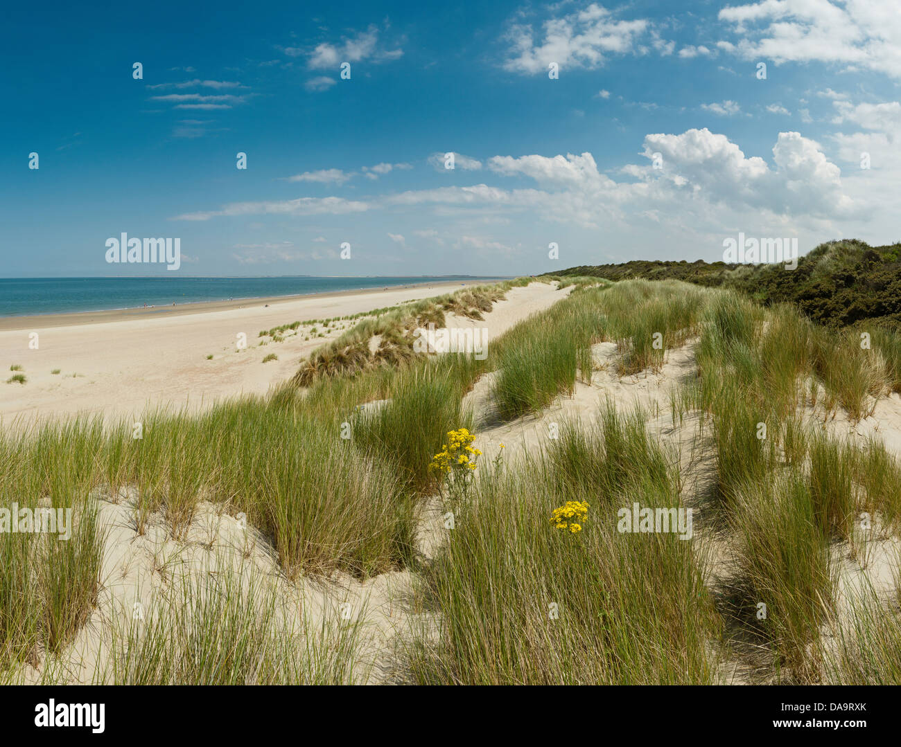 Netherlands holland europe renesse north -Fotos und -Bildmaterial in ...