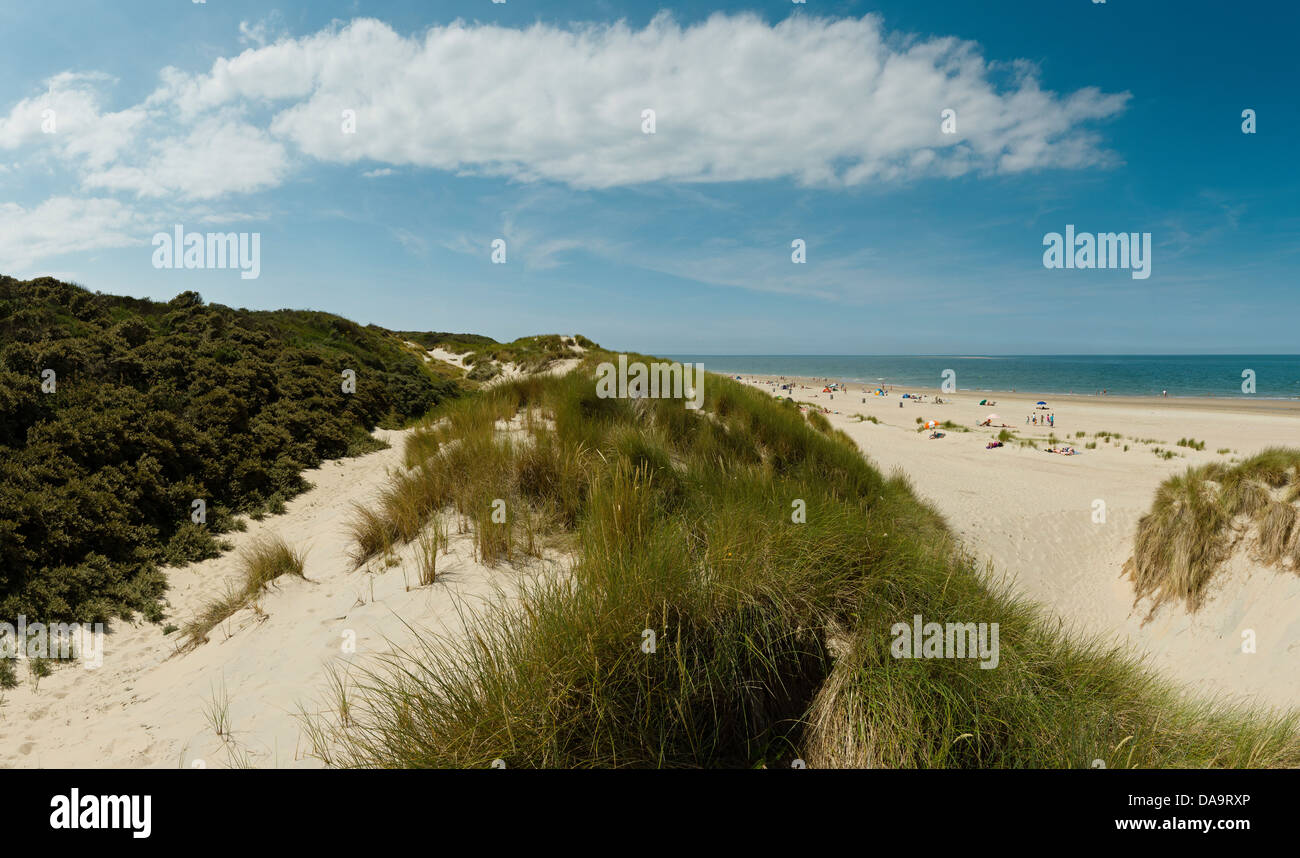 Niederlande, Holland, Europa, Renesse, Nordsee, Sand, Landschaft ...