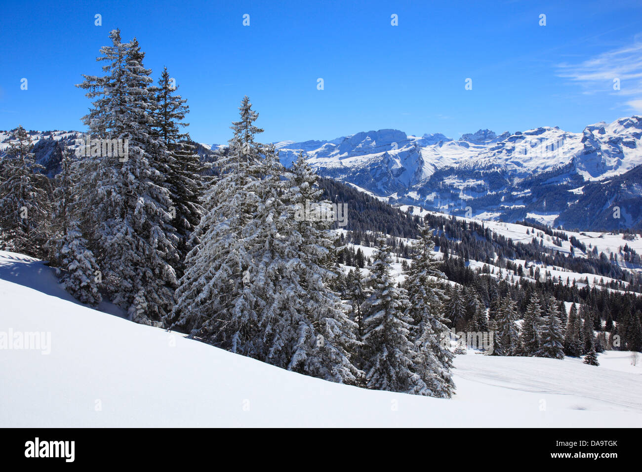 Alpen, Alpine Kranz, Alpenpanorama, Ansicht, Berg, Berge, Bäume, Fichte ...