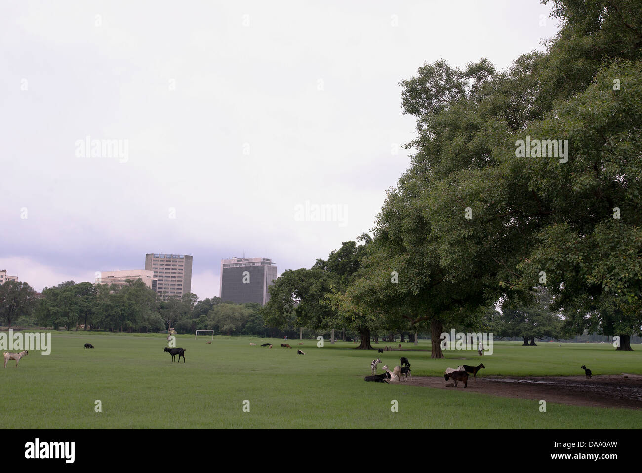 Densely crowded -Fotos und -Bildmaterial in hoher Auflösung – Alamy