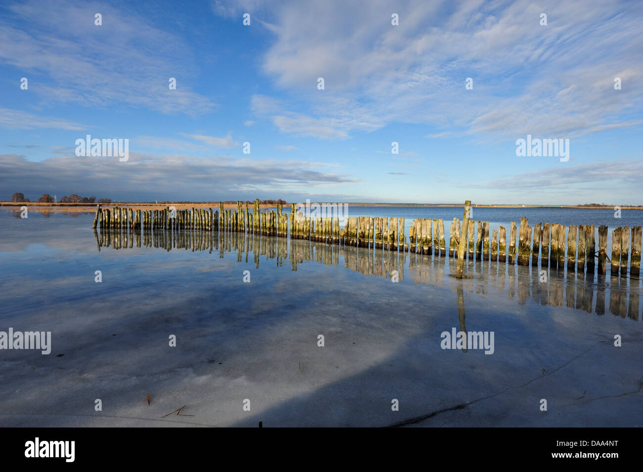 Peene Fluss Stockfotos und -bilder Kaufen - Alamy