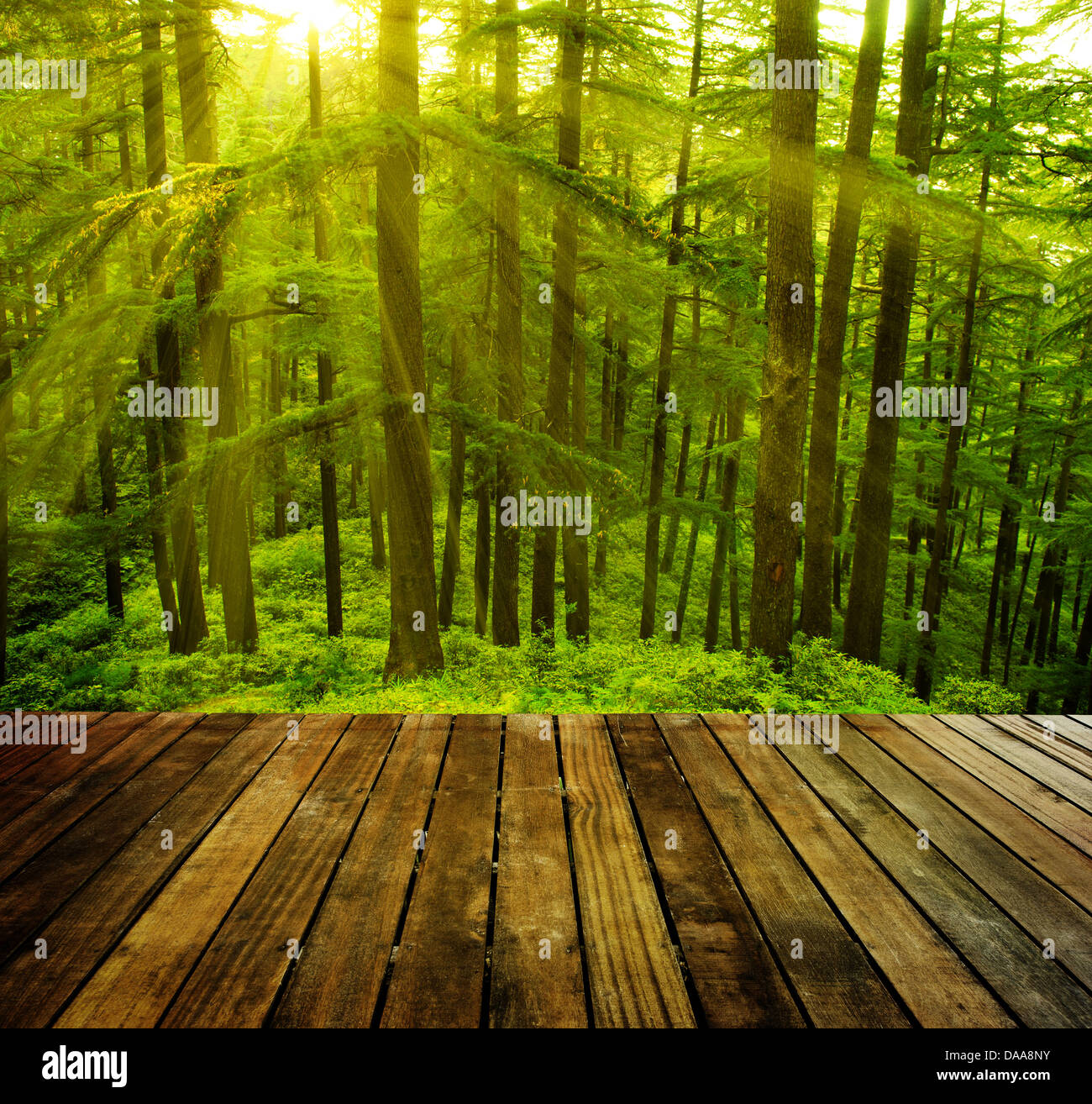 Wooden platform -Fotos und -Bildmaterial in hoher Auflösung – Alamy