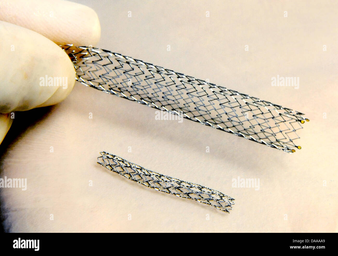 Prof. Dr. Dierk Scheinert präsentiert einen Stent abgedeckt mit der ...