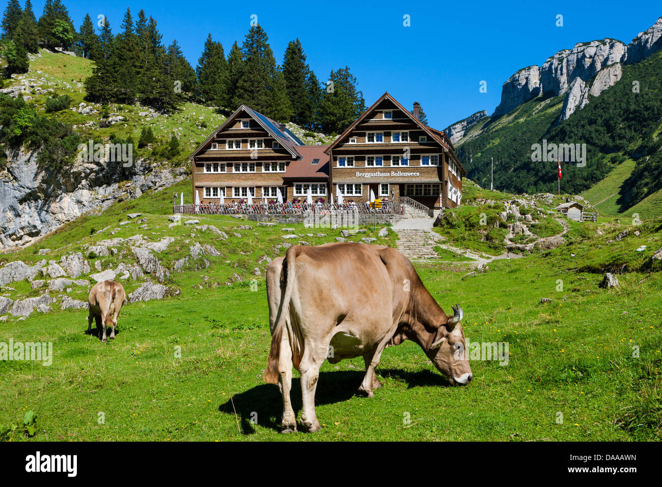 Bollenwees, Schweiz, Europa, Kanton Appenzell Innerrhoden, Alpstein ...