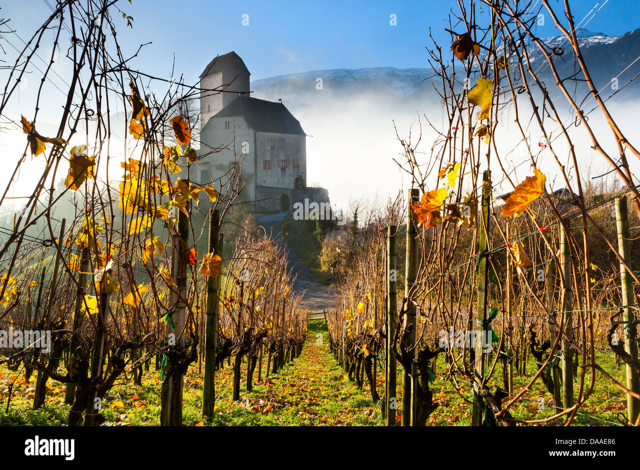 Sargans sargans castle -Fotos und -Bildmaterial in hoher Auflösung – Alamy