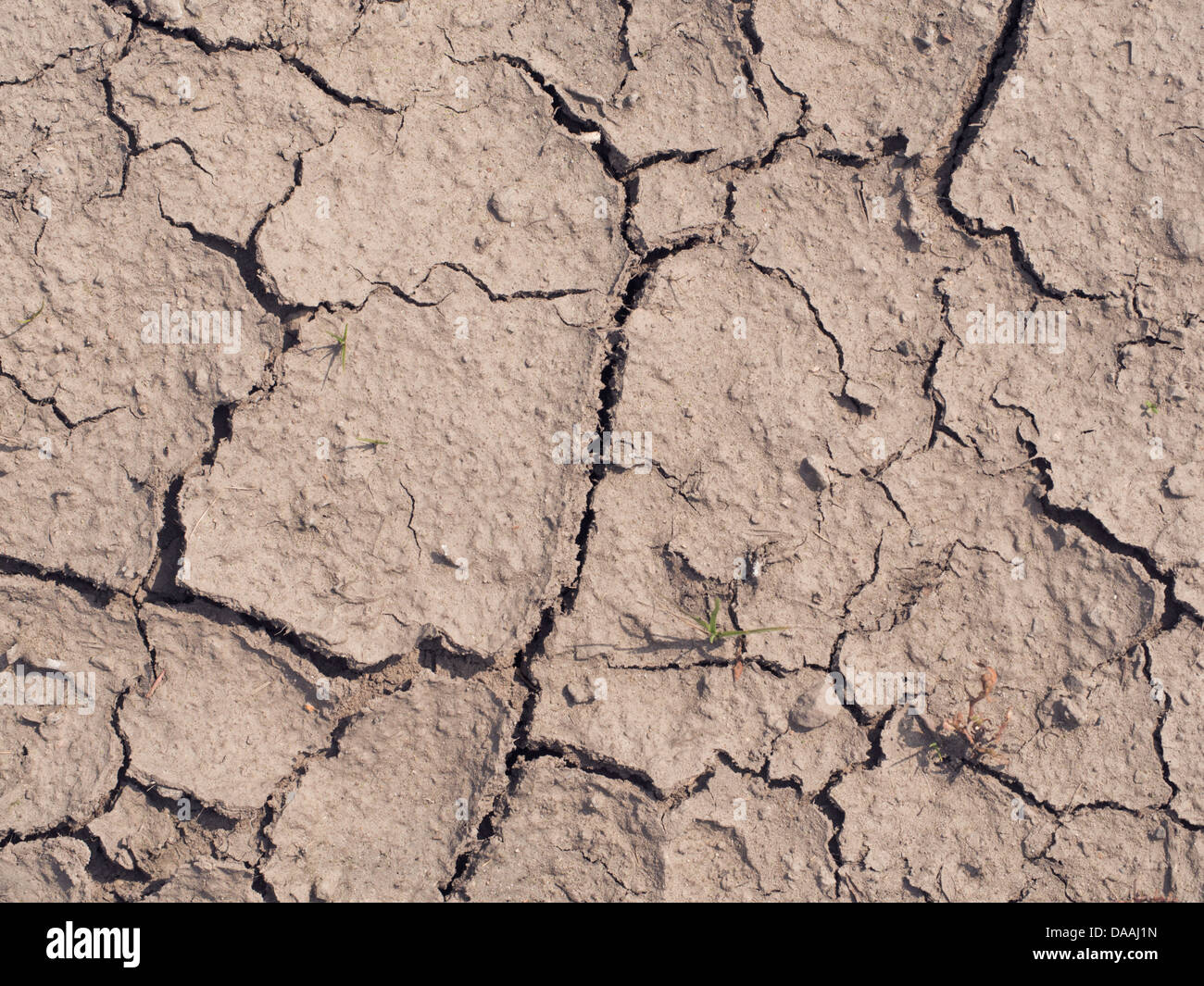 Soil texture -Fotos und -Bildmaterial in hoher Auflösung – Alamy
