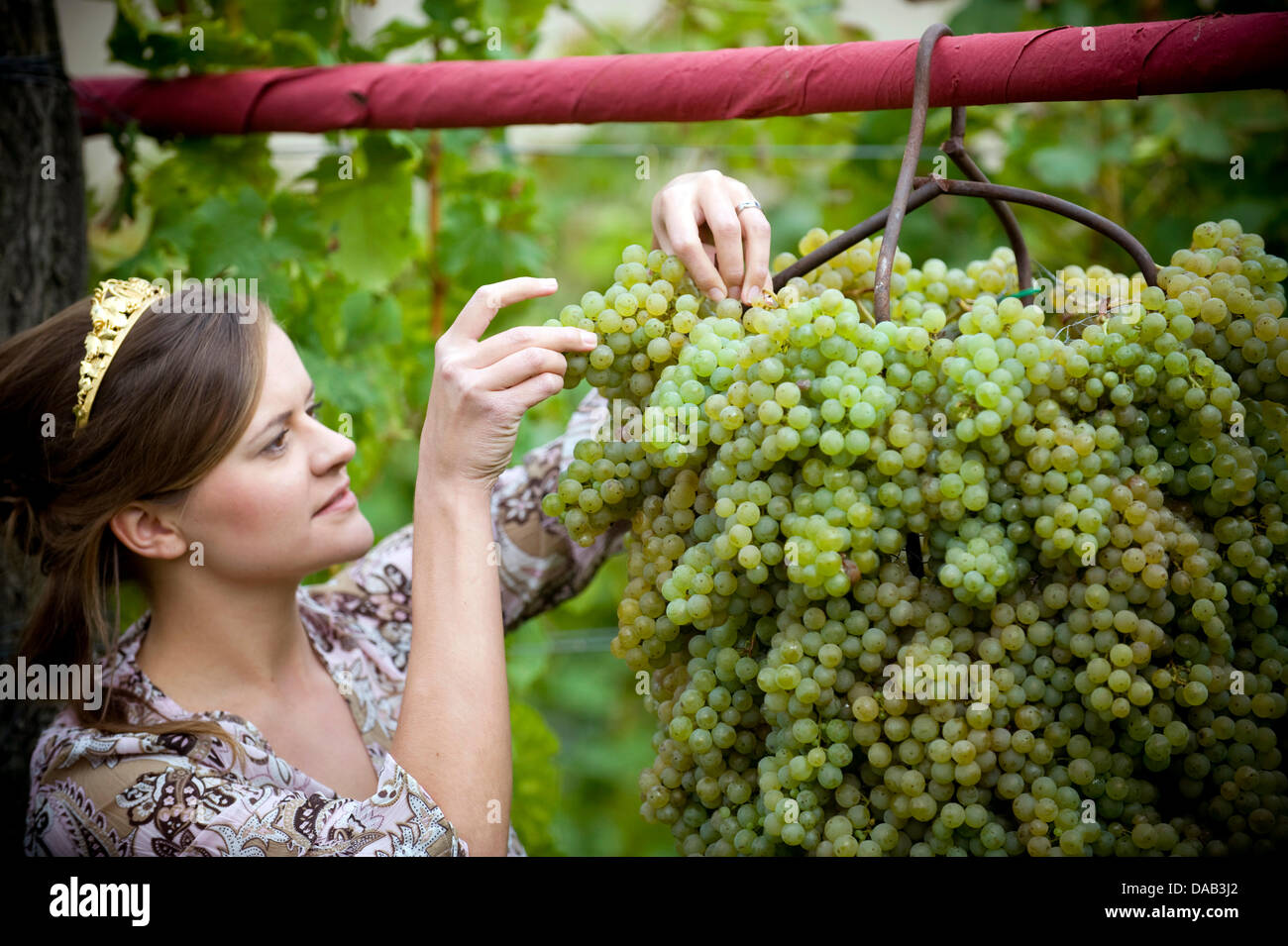 Martin Aust Stockfotos und -bilder Kaufen - Alamy