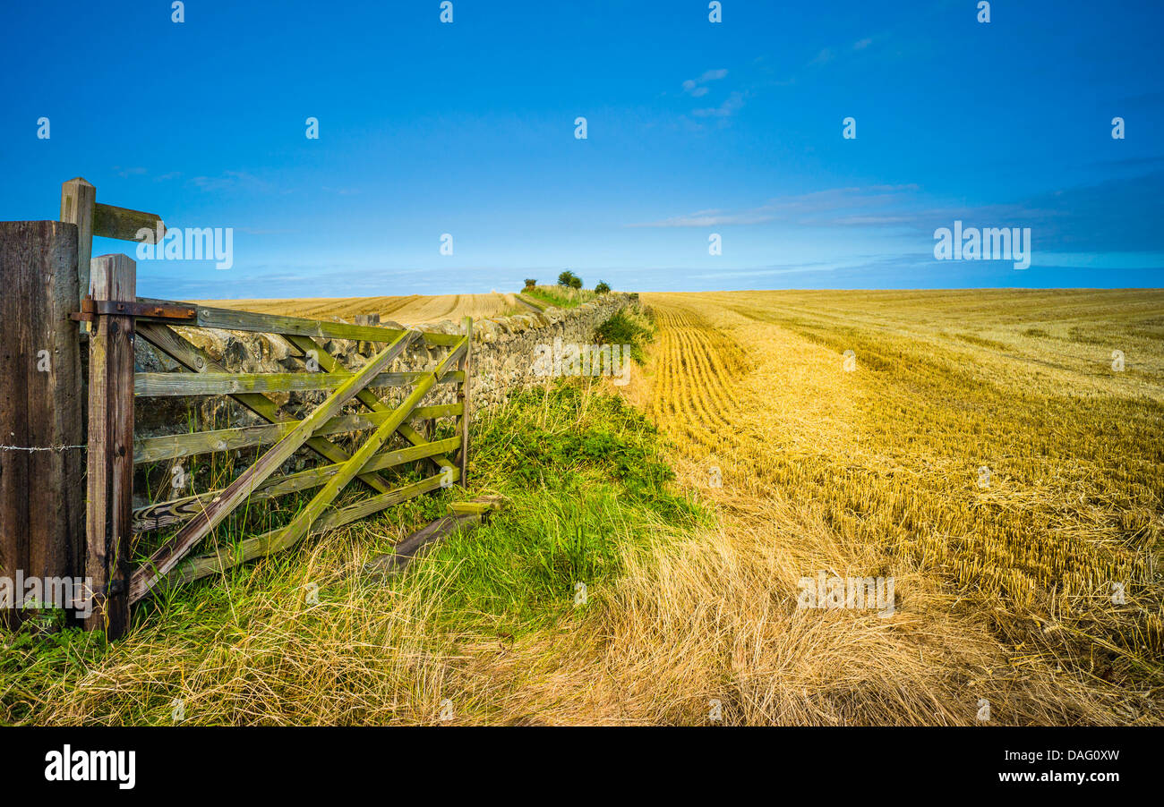 Offene punkte -Fotos und -Bildmaterial in hoher Auflösung – Alamy