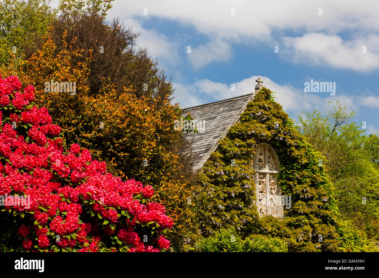Efeu plattiertes haus -Fotos und -Bildmaterial in hoher Auflösung – Alamy