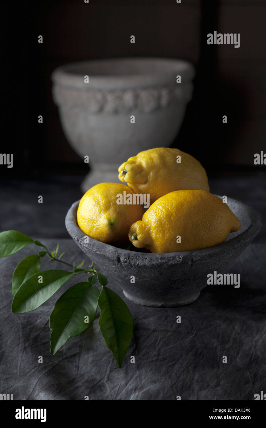 Zitronen Stillleben Stockfotos und -bilder Kaufen - Alamy