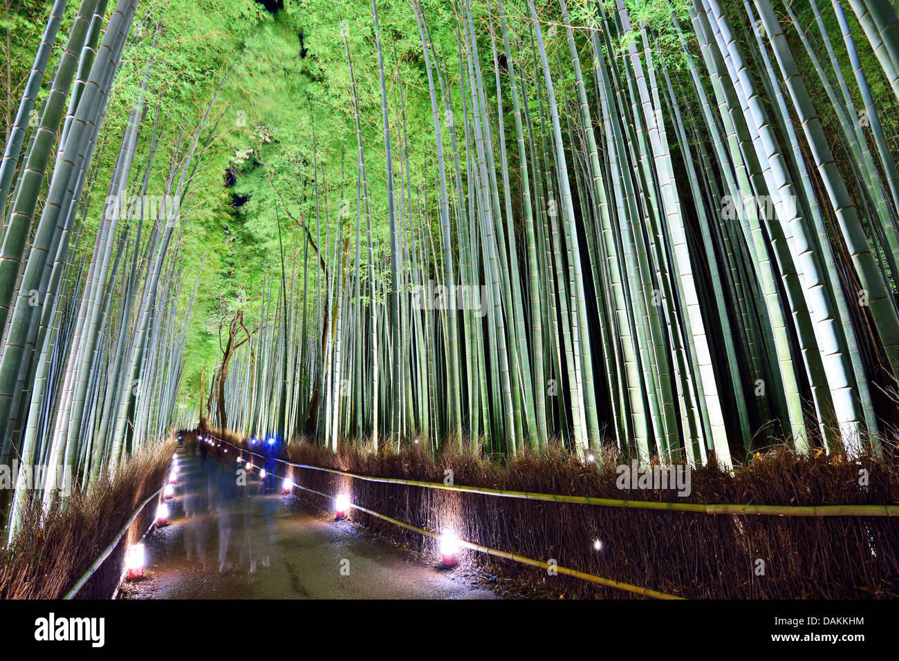 Der Kyoto Bambuswald Stockfotos und -bilder Kaufen - Alamy