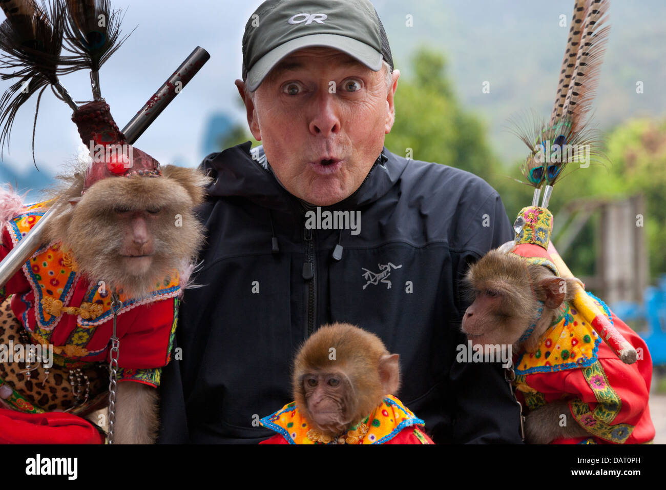 Four monkey -Fotos und -Bildmaterial in hoher Auflösung – Alamy