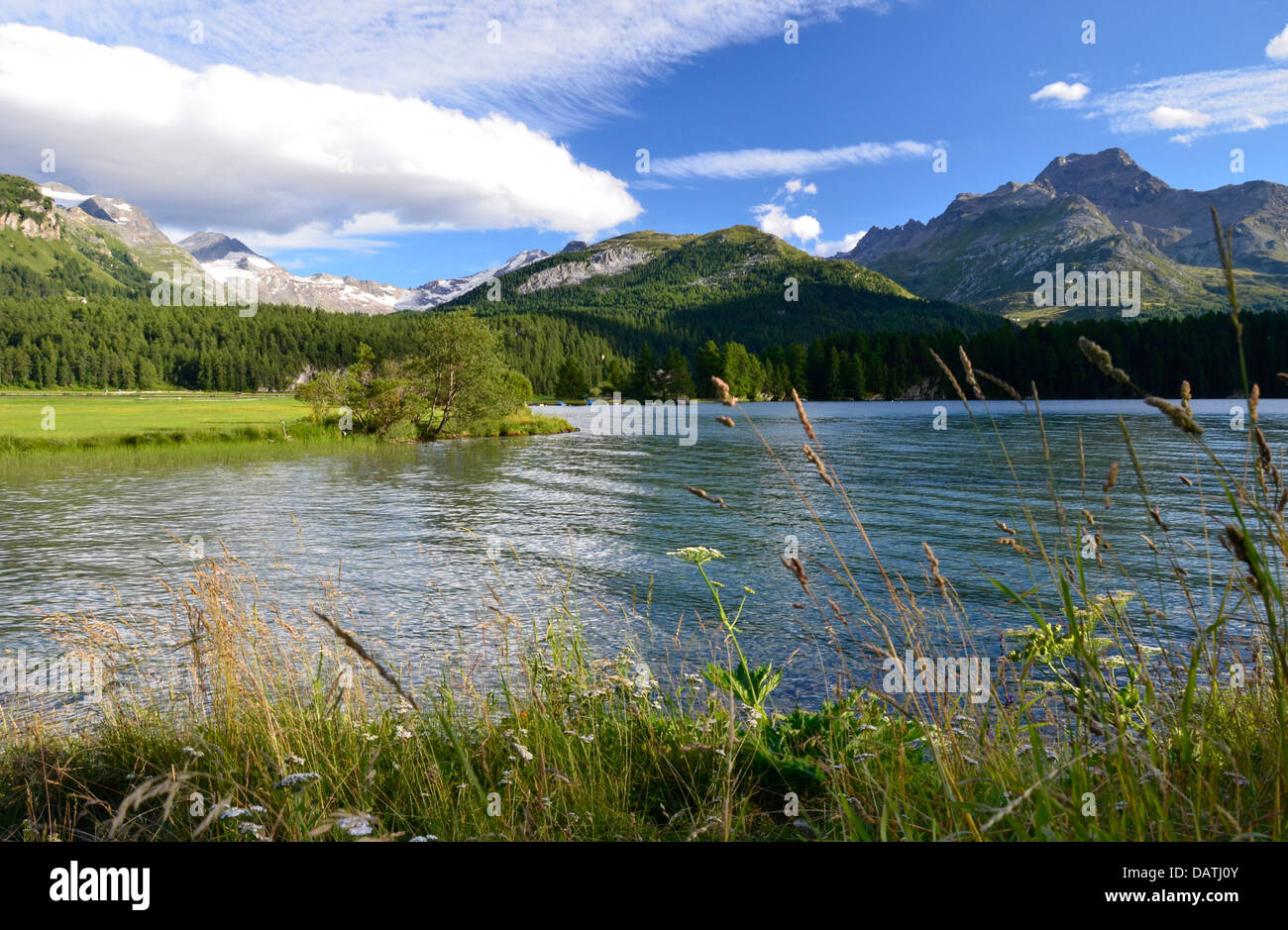 See sils im oberen engadin -Fotos und -Bildmaterial in hoher Auflösung ...