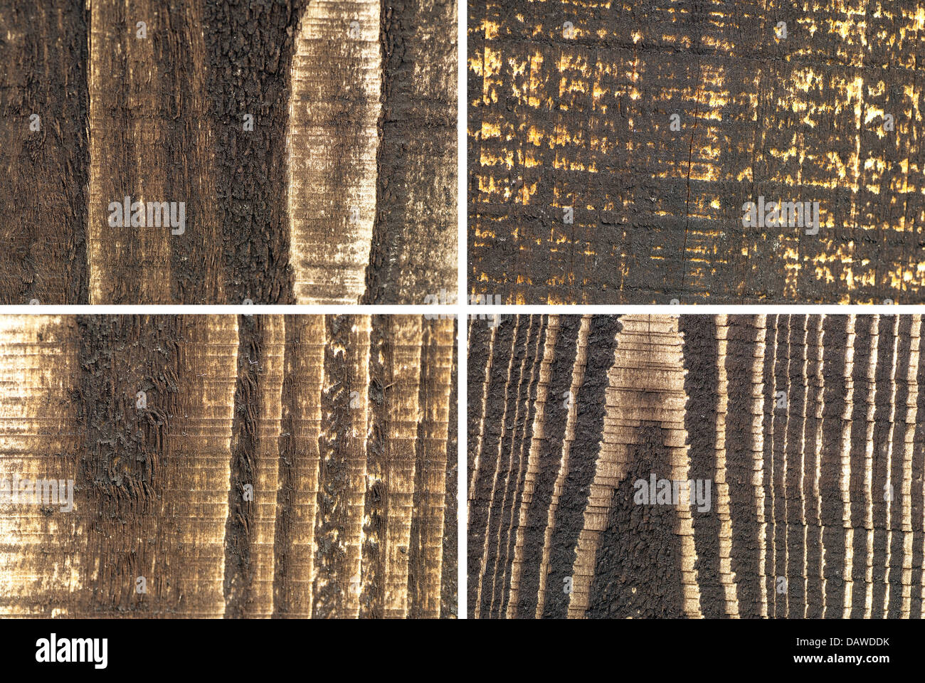 vier Arten von Holz Texturen Stockfotografie - Alamy
