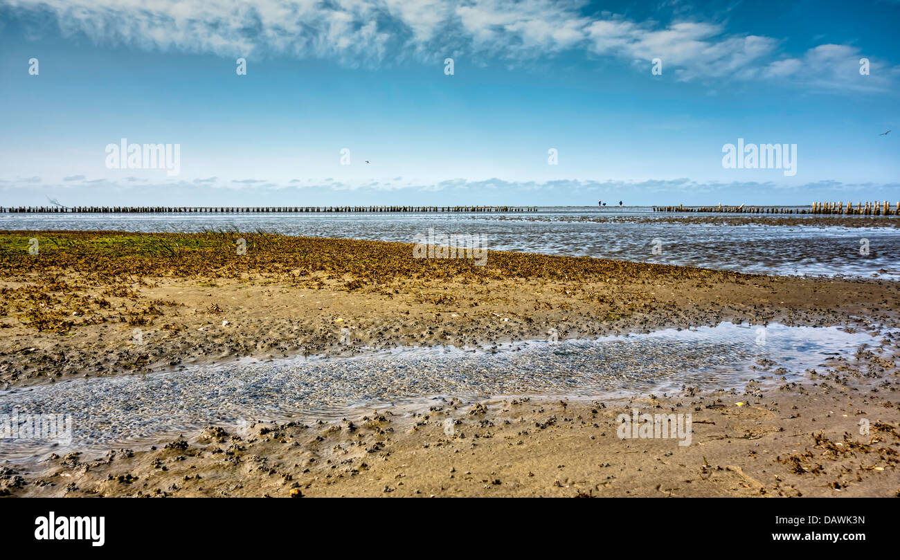 Insel mando -Fotos und -Bildmaterial in hoher Auflösung - Seite 2 - Alamy