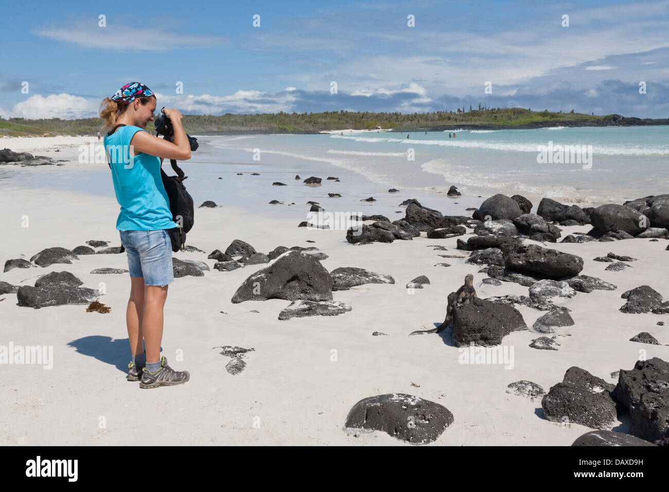 Tortuga bay galapagos -Fotos und -Bildmaterial in hoher Auflösung – Alamy