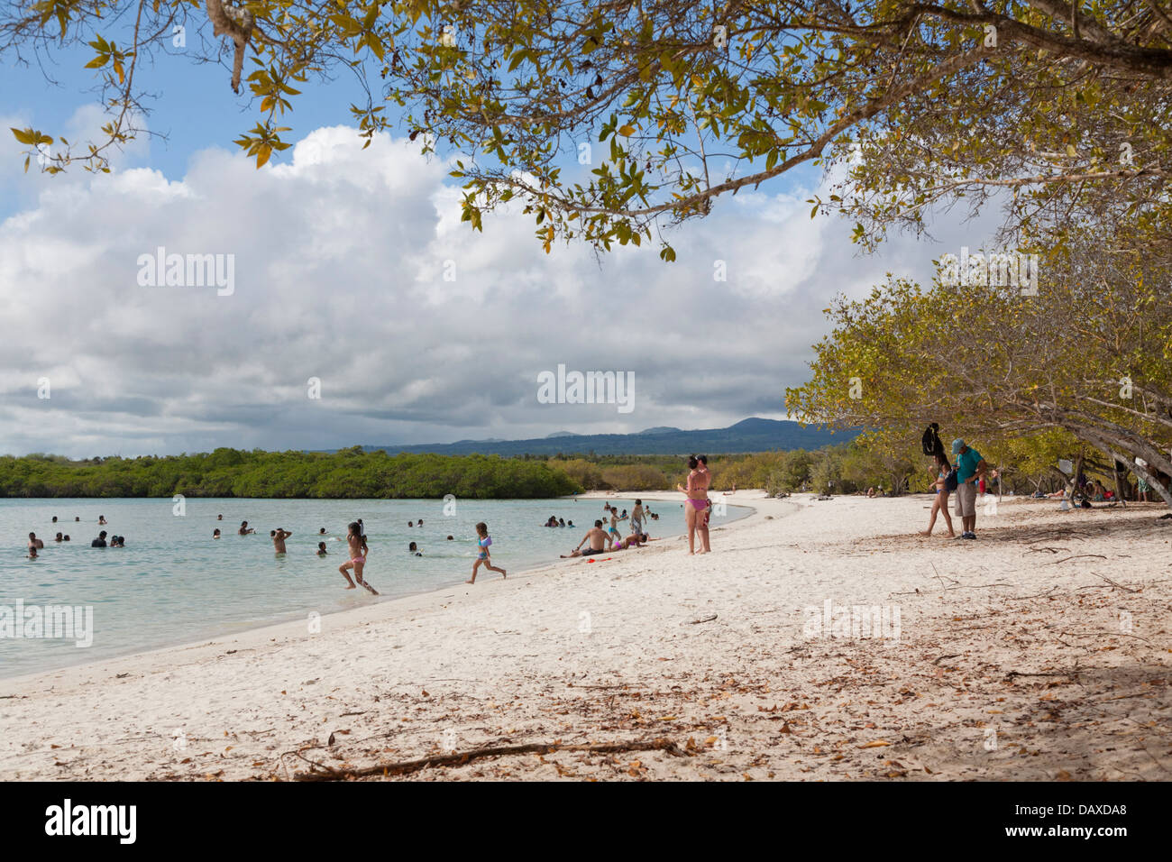 Tortuga Bay, Strand, Santa Cruz Insel, Galapagos-Inseln, Ecuador ...