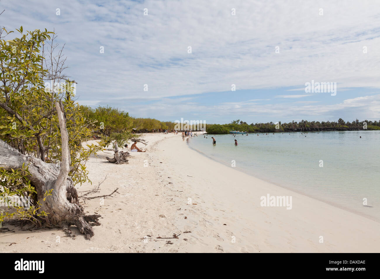 Tortuga bay galapagos -Fotos und -Bildmaterial in hoher Auflösung – Alamy