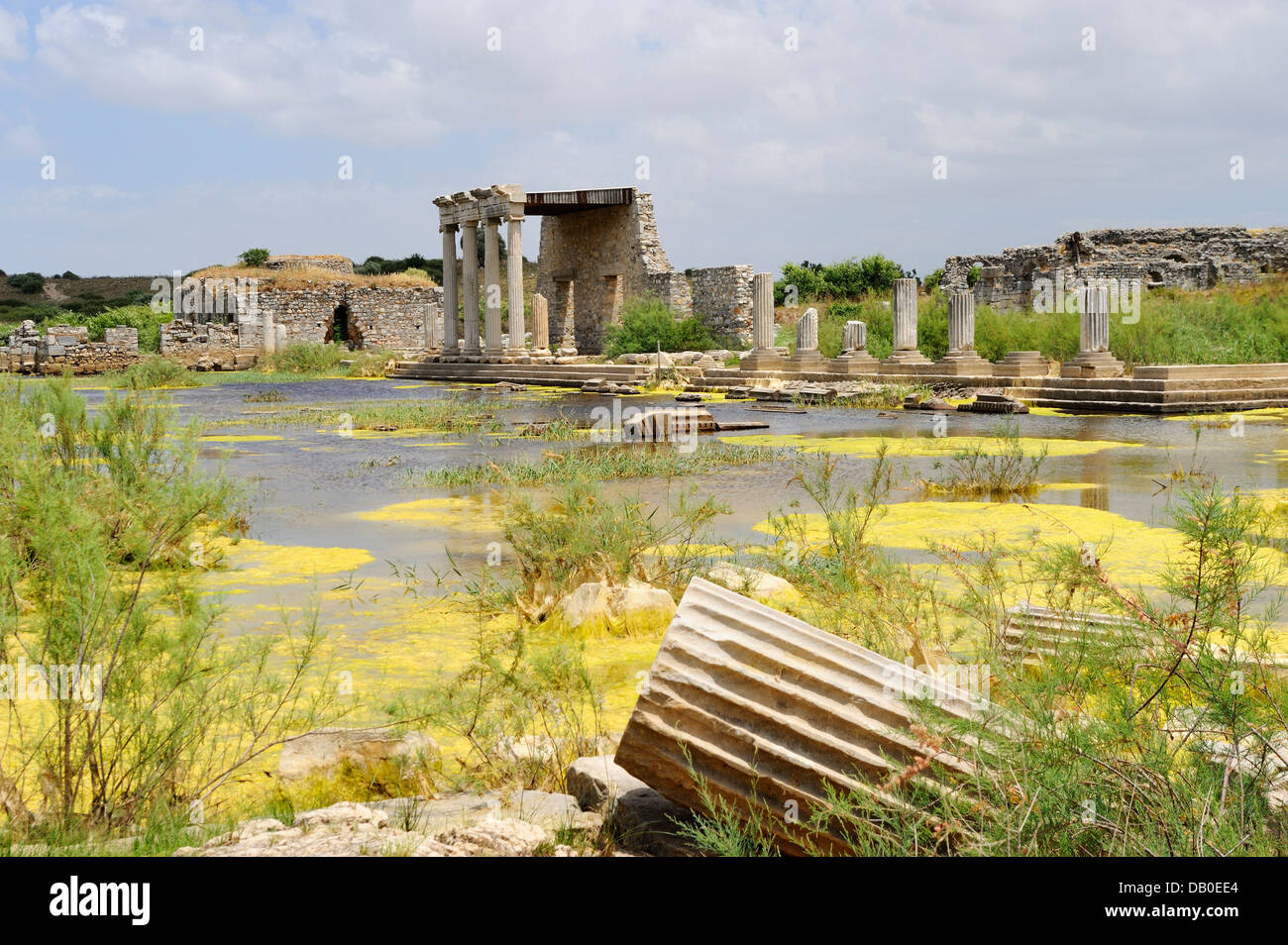 Von miletus -Fotos und -Bildmaterial in hoher Auflösung – Alamy